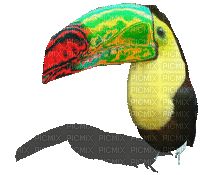 Famosos – Rádio Tropical Cidade FM Site 1