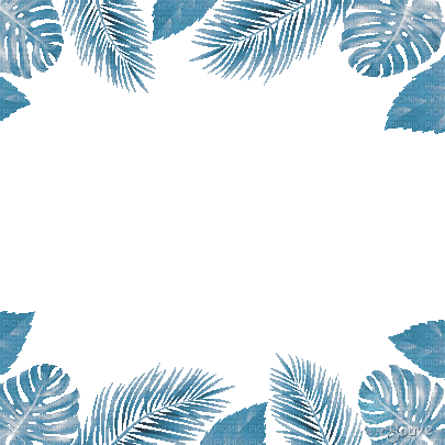 Terça – Rádio Tropical Cidade FM Site 1